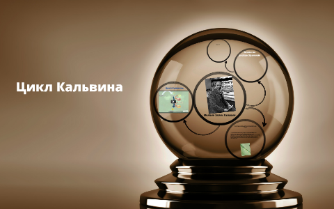 Цикл Кальвина by Igor Polyakov on Prezi
