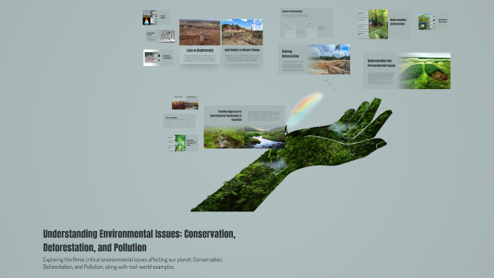 Understanding Environmental Issues: Conservation, Deforestation, and ...