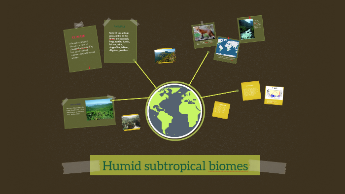 humid subtropical biomes by Samuu de la Fuente on Prezi