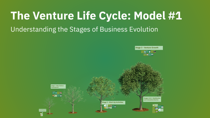 The Venture Life Cycle by Luann on Prezi
