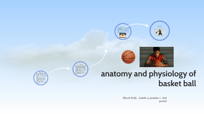 anatomy and physiology of basket ball by micah kelly on Prezi