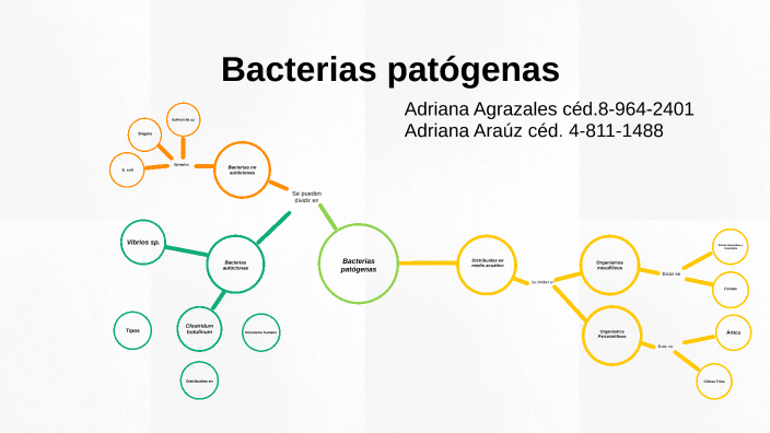 Bacterias patógenas by Adriana Agrazales on Prezi