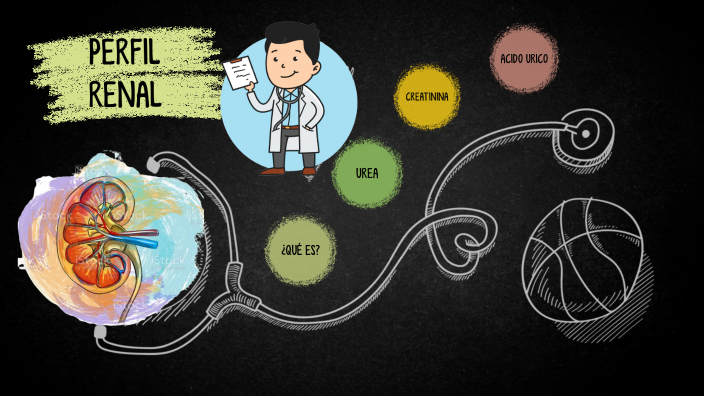 perfil renal by STEPHANY CHACON CHOKEWAYTA on Prezi