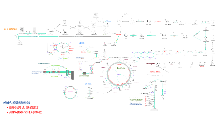 Mapa Metabolico hecho por Abraham Villagomez y Rodolfo Ramirez by Rodolfo Ramirez on Prezi