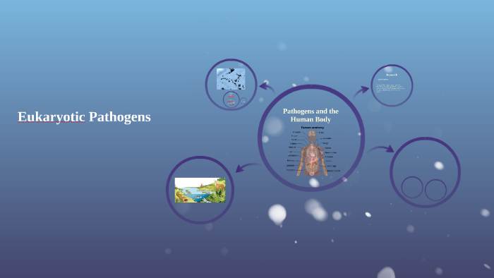 Eukaryotic Pathogens by Aaron Burton on Prezi