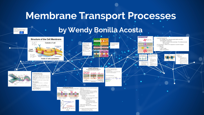 Membrane Transport Process by Wendy Bonilla on Prezi