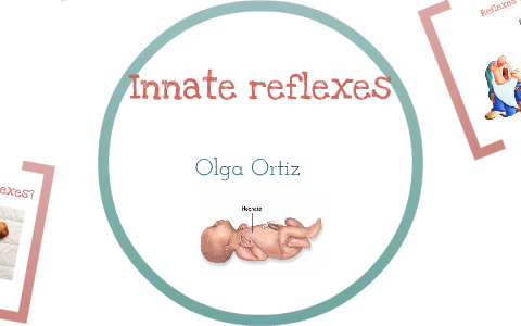 Innate reflex by Olga Ortiz on Prezi
