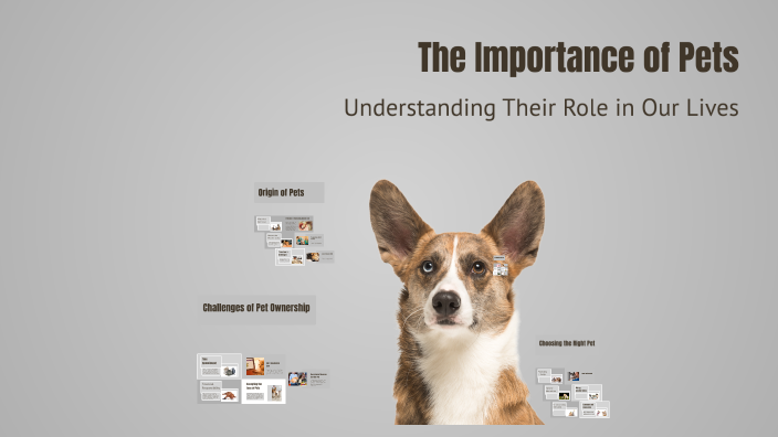 The Importance of Pets by J. N. on Prezi