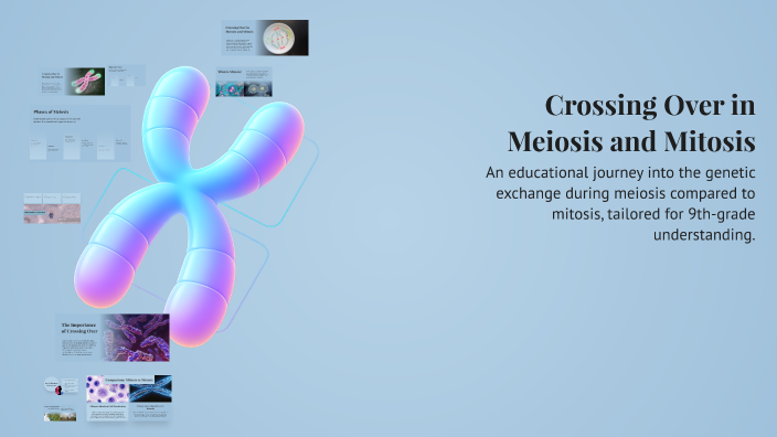 Crossing Over in Meiosis and Mitosis by Jacob Green on Prezi