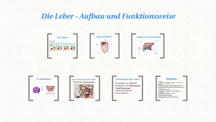 Die Leber - Aufbau und Funktionsweise by Michael Grießer on Prezi