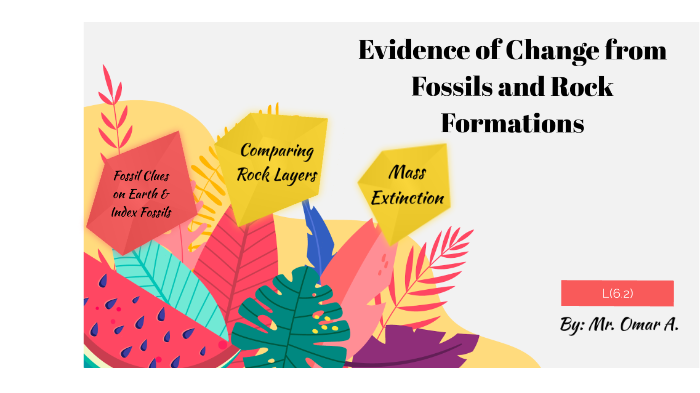 Lesson 2: Evidence of Change from Fossils and Rock Formations by Fatema ...