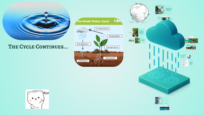 The Journey of Water: A Cycle of Life by Ethan Kowalewski on Prezi