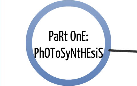 Photosynthesis & Respiration Wrap-Up by Rachael Lee on Prezi