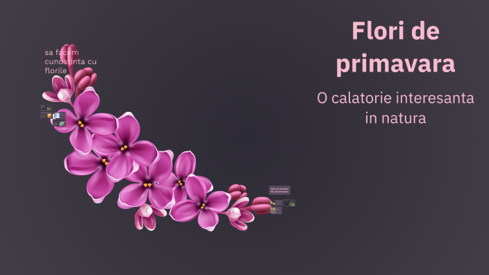 Flori de primavara by Luiza Haidu on Prezi