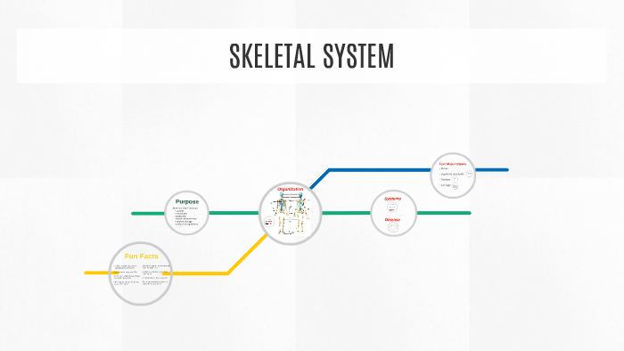 SKELETAL SYSTEM by Teegan Stevens