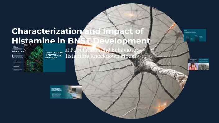 Characterization and Impact of Histamine in BNST Development by Yasmin ...