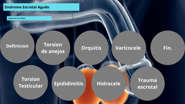 Escroto Agudo by Rodo Rivadera on Prezi