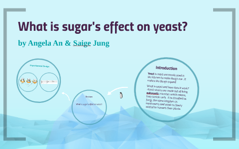 Growing Yeast & Sugar Fermentation by Angela An on Prezi