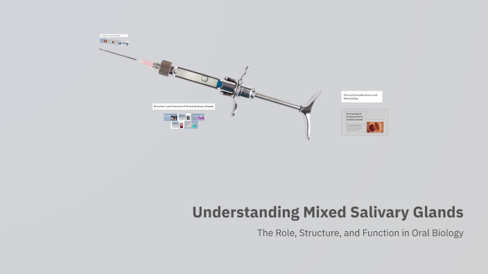 Understanding Mixed Salivary Glands by Mahmoud Khattab on Prezi