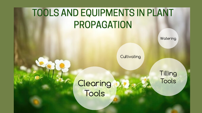 TOOLS and EQUIPMENTS in PLANT PROPAGATION by Jay Mark Briones Aparecio ...