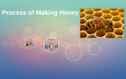 Process of honey making by Laura Novak on Prezi