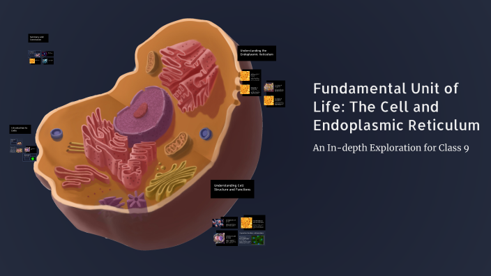 Fundamental Unit of Life: The Cell and Endoplasmic Reticulum by Parv ...