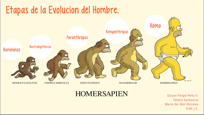 Etapas de la Evolución Humana by Duvan Peña on Prezi