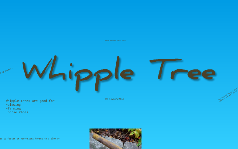 Whipple tree by Taylor Zitkus on Prezi