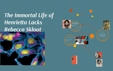 The Immortal Life of Henrietta Lacks by Rebecca Skloott by Will Wade on ...