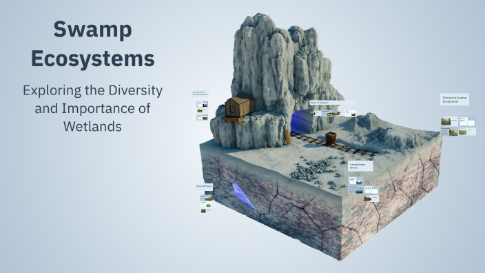 Swamp Ecosystems by Oomat Abdimomunov on Prezi