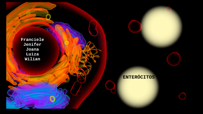 Enterócitos by W Machado on Prezi