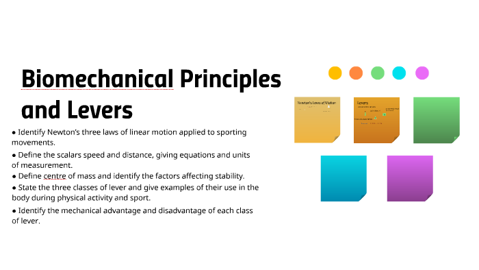 Biomechanical Principles