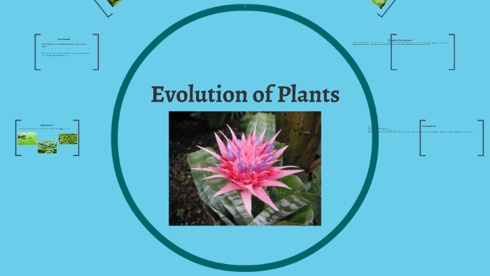 Evolution of Plants by Mario Dupree on Prezi