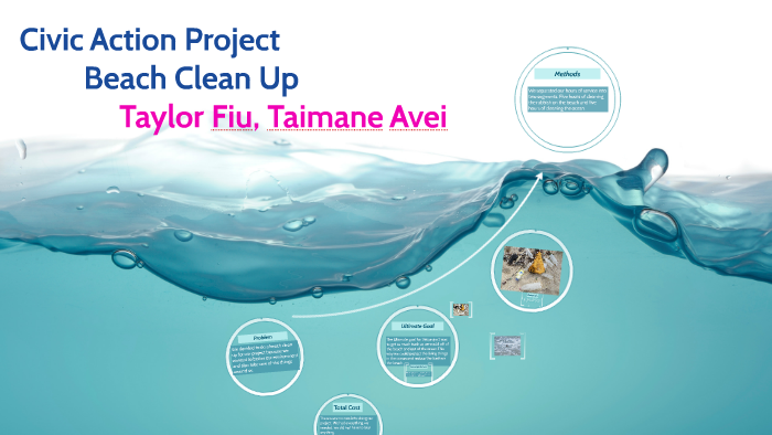 Civic Action Project By Taylor Fiu civic-action-project-by-taylor-fiu