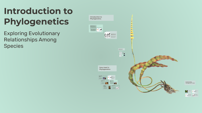 Introduction to Phylogenetics by Prathamesh Gaikwad on Prezi
