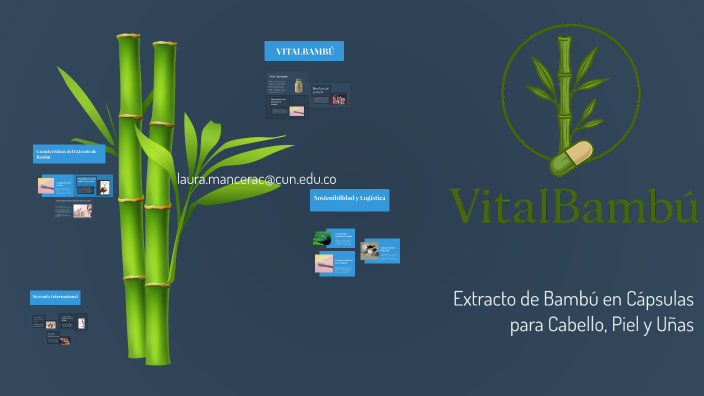 VITALBAMBÚ - LOGÍSTICA DE EXPORTACIÓN by Kimberly Garzon Antonio on Prezi