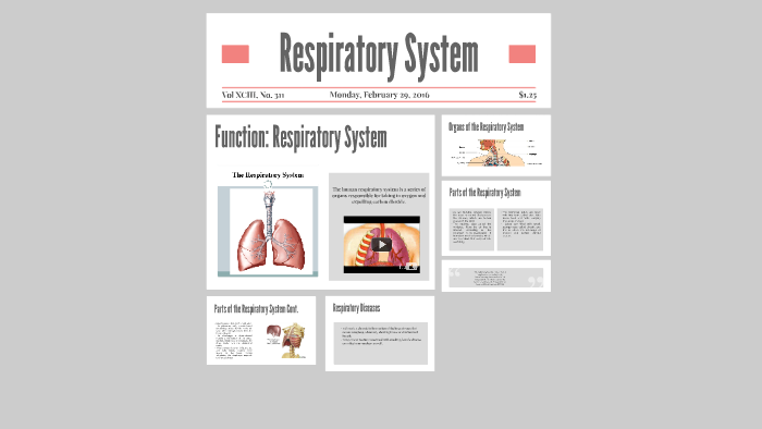 Respiratory System by dorian lawrence on Prezi