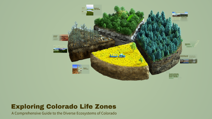 Exploring Colorado Life Zones by Kristina Hogarth on Prezi
