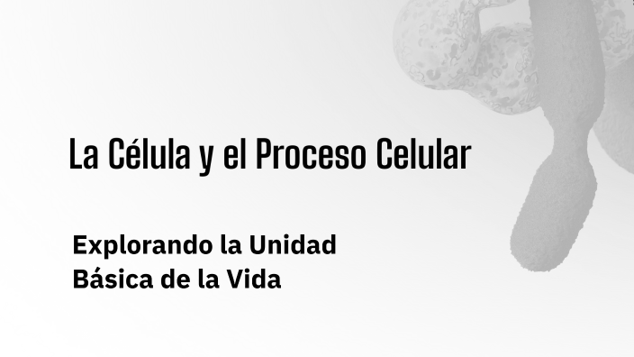 La Célula y el Proceso Celular by Julieth Aguilar on Prezi