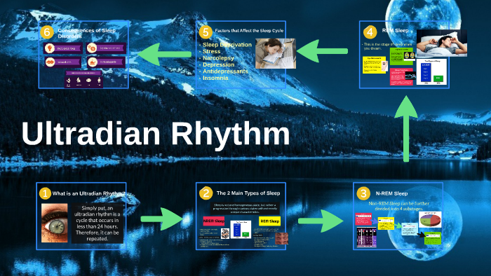 Ultradian Rhythm by Sam Jeffrey