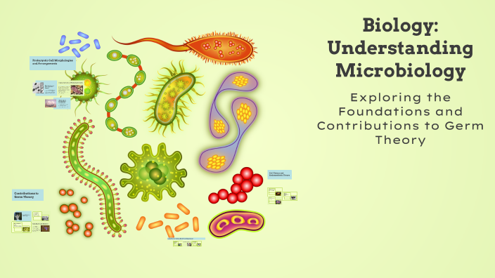 Biology: Understanding Microbiology by Gregory Everett on Prezi