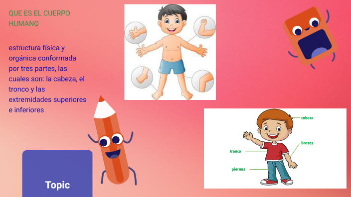 el cuerpo humano y sus funciones by yirleza cordoba on Prezi