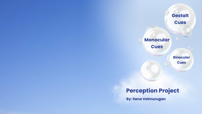 Perception Project - Velmurugan by Ilana Velmurugan on Prezi