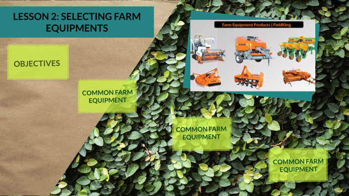 MODULE 5_LESSON 2 by DACIBAR, JESSICA B. on Prezi