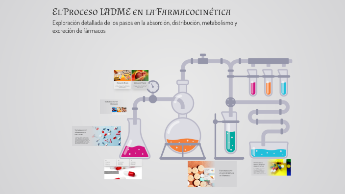 El Proceso LADME en la Farmacocinética by Faby Bernuy on Prezi