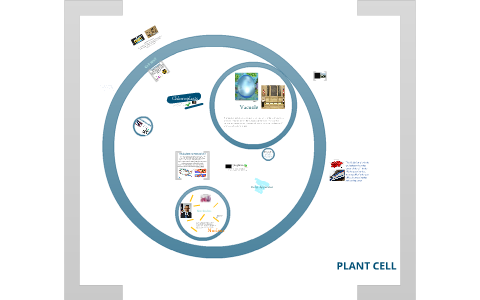 Cell Stucture Brochure Project by Ashlyn Parker on Prezi