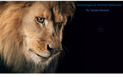 Stereotypical animal behavior by YUNUEN Nevarez on Prezi
