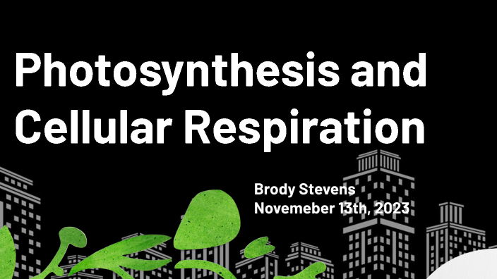 Photosynthesis and Cellular Respiration Project by Brody Stevens on Prezi