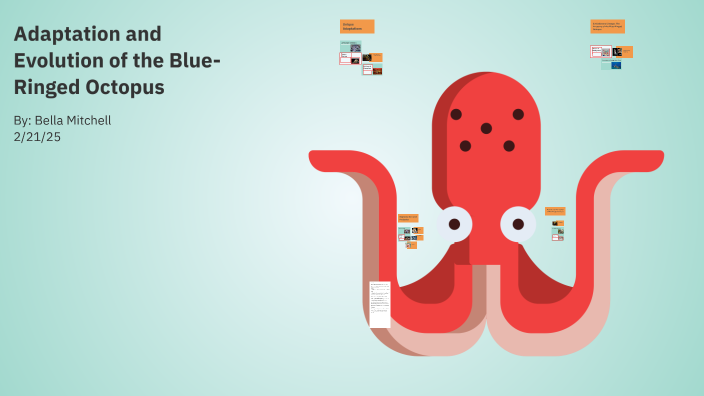 Adaptation and Evolution of the Blue-Ringed Octopus by Bella M on Prezi