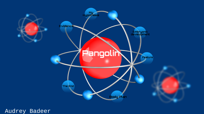 Pangolin Evolution by Audrey Badeer on Prezi